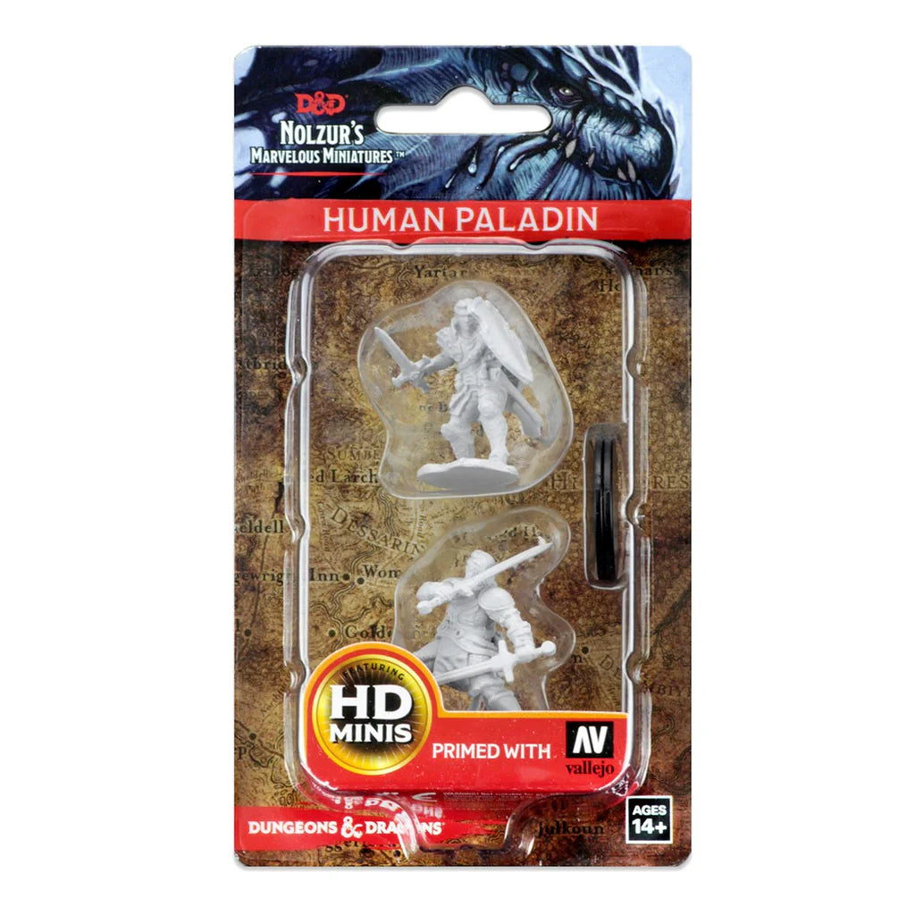 Dungeons & Dragons - Nolzurs Marvelous Miniatures: Human Male Paladin ...