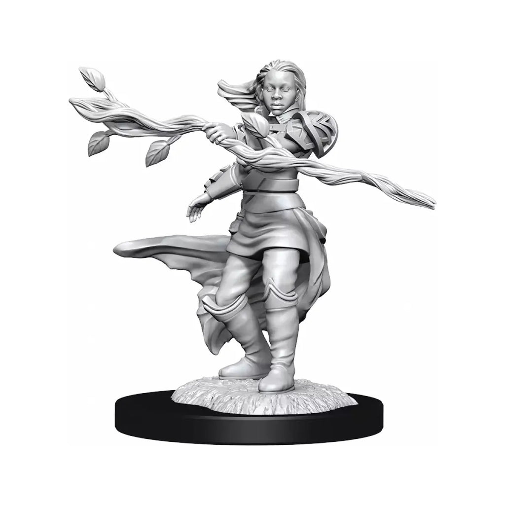 Dungeons & Dragons - Nolzurs Marvelous Miniatures: Human Druid Female ...
