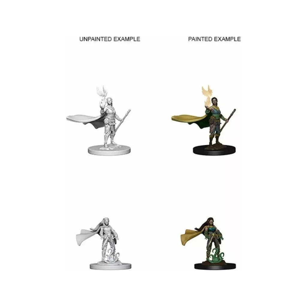 Dungeons & Dragons - Nolzurs Marvelous Miniatures: Elf Female Druid ...